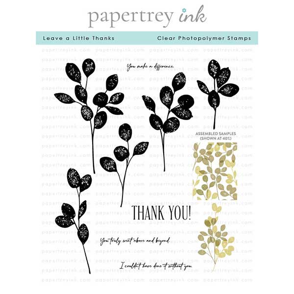 Papertrey Ink Leave a Little Thanks Stamp – The Foiled Fox